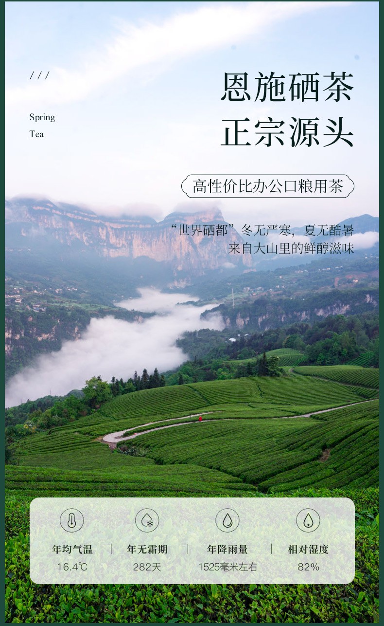 茶马世家硒妃红茶50g+恩施硒茶绿茶50g