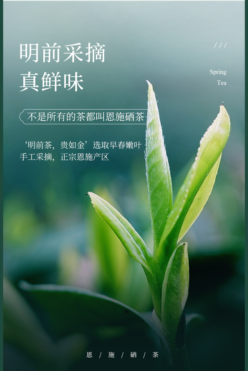 茶马世家硒妃红茶50g+恩施硒茶绿茶50g